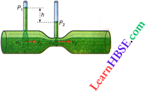 HBSE Class 11 Physics Notes For Viscosity and Surface Tension – Learn HBSE