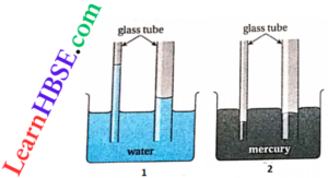 HBSE Class 11 Physics Capillary Action – Meaning, Definition, Examples ...