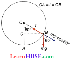 Vertical Circular Motion Class 11 Notes – Learn HBSE
