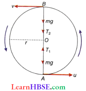 Vertical Circular Motion Class 11 Notes – Learn HBSE